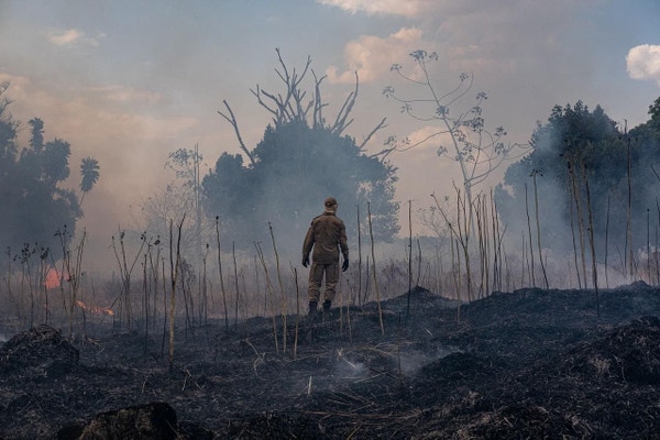 Incêndios Disparam Emissões De Carbono No Brasil E Encaminha País Para